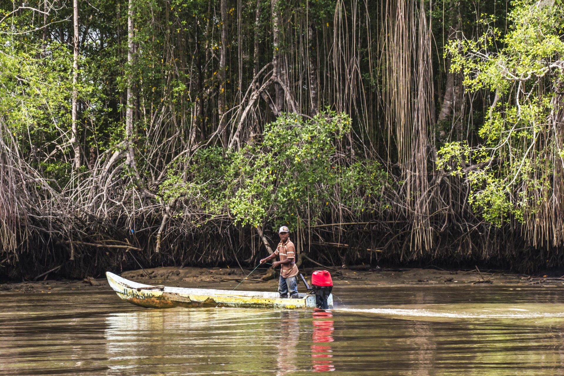 Canchimalero fuera de fechas, Majagual y Cayapas Mataje ⋆ 📌 Chinchetas ...